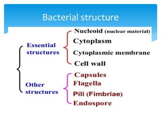 Bacterial cell structure and functions.pptx