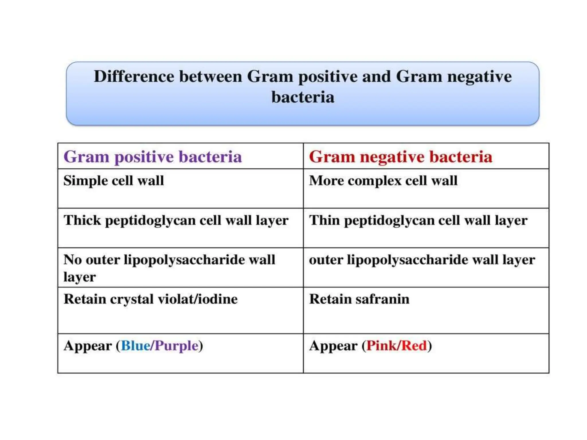 Bacterial Cell Structure And Classification Dr C P Prince Pptx