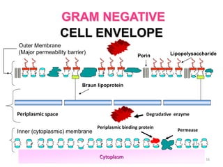 Bacterial cell structure & classification DR C P PRINCE | PPTX ...