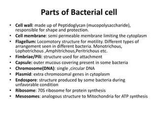 Bacterial cell structure & classification DR C P PRINCE | PPTX ...