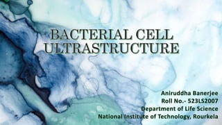 Bacterial Cell Ultrastructure.pptx