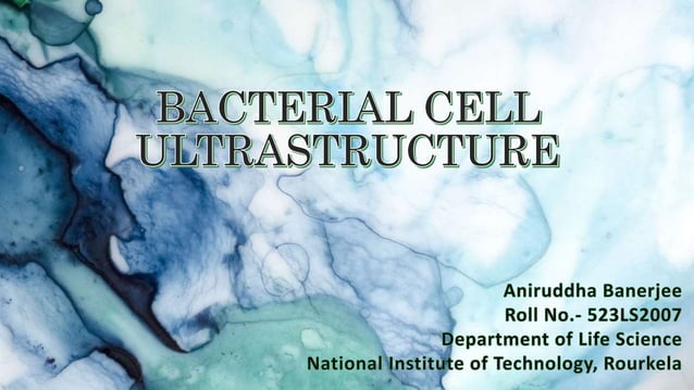 Bacterial Cell Ultrastructure.pptx