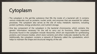 Bacterial Cell Ultrastructure.pptx