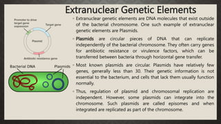 Bacterial Cell Ultrastructure.pptx