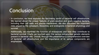 Bacterial Cell Ultrastructure.pptx
