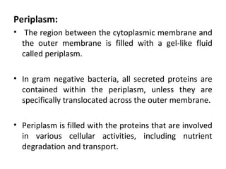 Bacterialcellwall 161031150608 | PDF