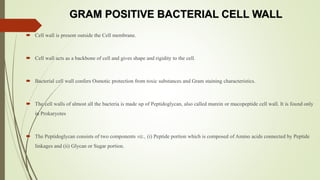 BACTERIAL CELL WALL | PPTX