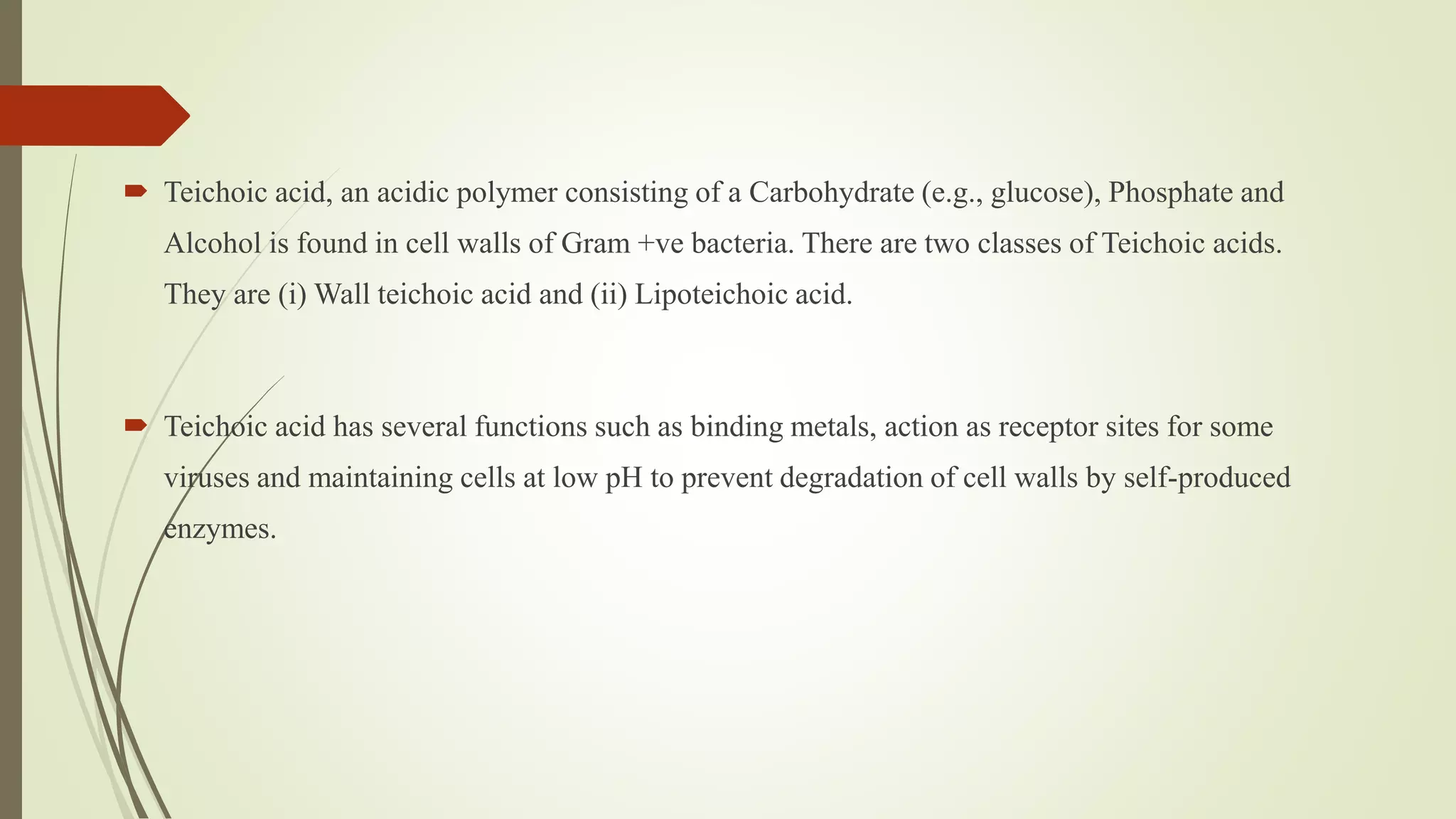 BACTERIAL CELL WALL.pptx