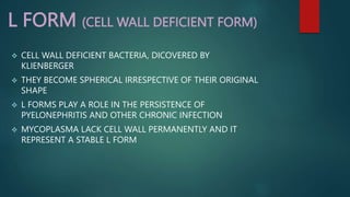 BACTERIAL CELL WALL of microbiology labs | PPT