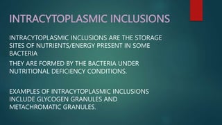 BACTERIAL CELL WALL of microbiology labs | PPT