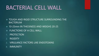 BACTERIAL CELL WALL of microbiology labs | PPT