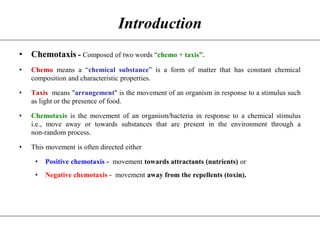 Chemotaxis Movement