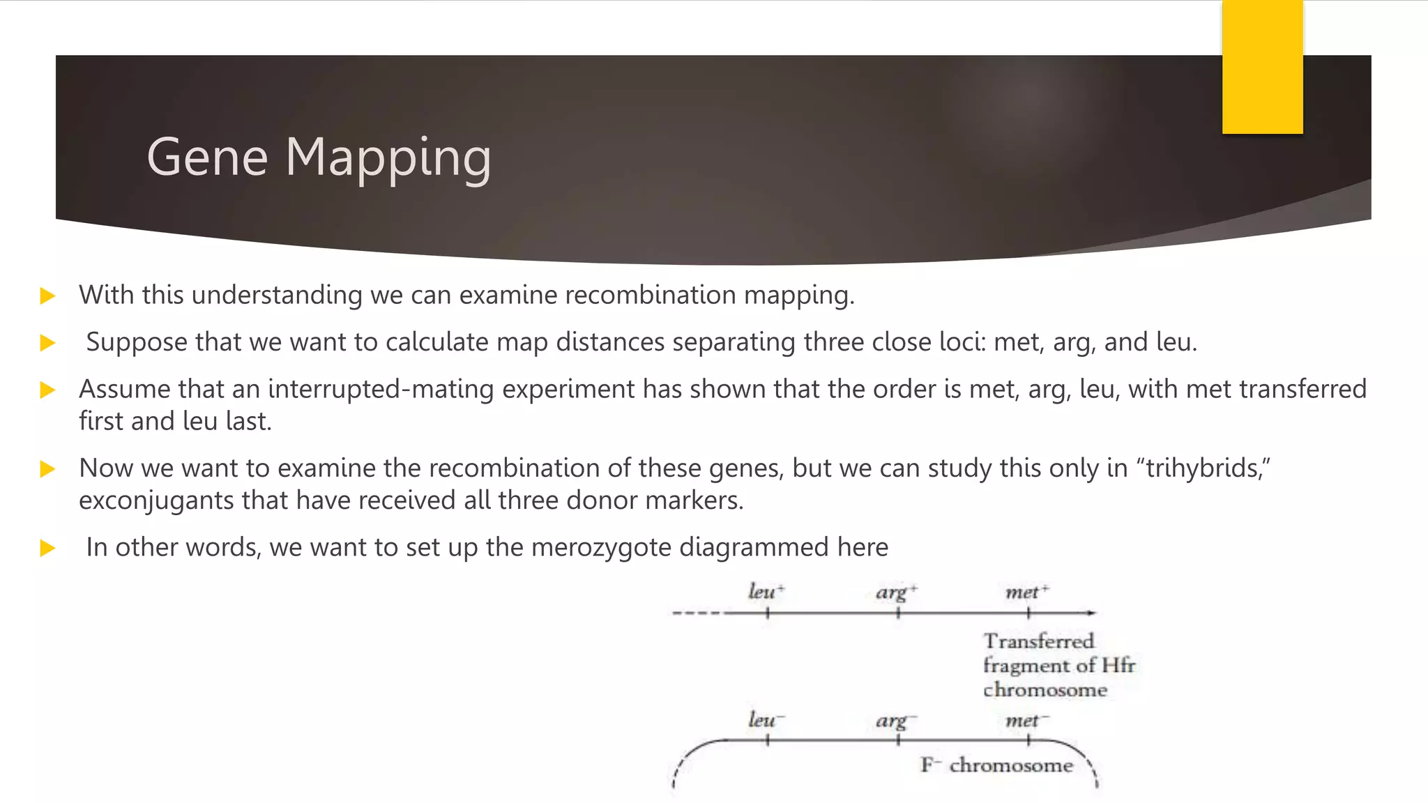 Bacterial Chromosome Mapping.pptx Bacterial Chromosome Mapping.pptx