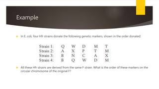 Bacterial Chromosome Mapping.pptx