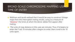 Bacterial Chromosome Mapping.pptx