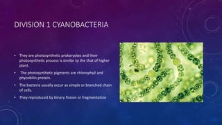 bacterial classification.pptx | Biological Sciences | Science