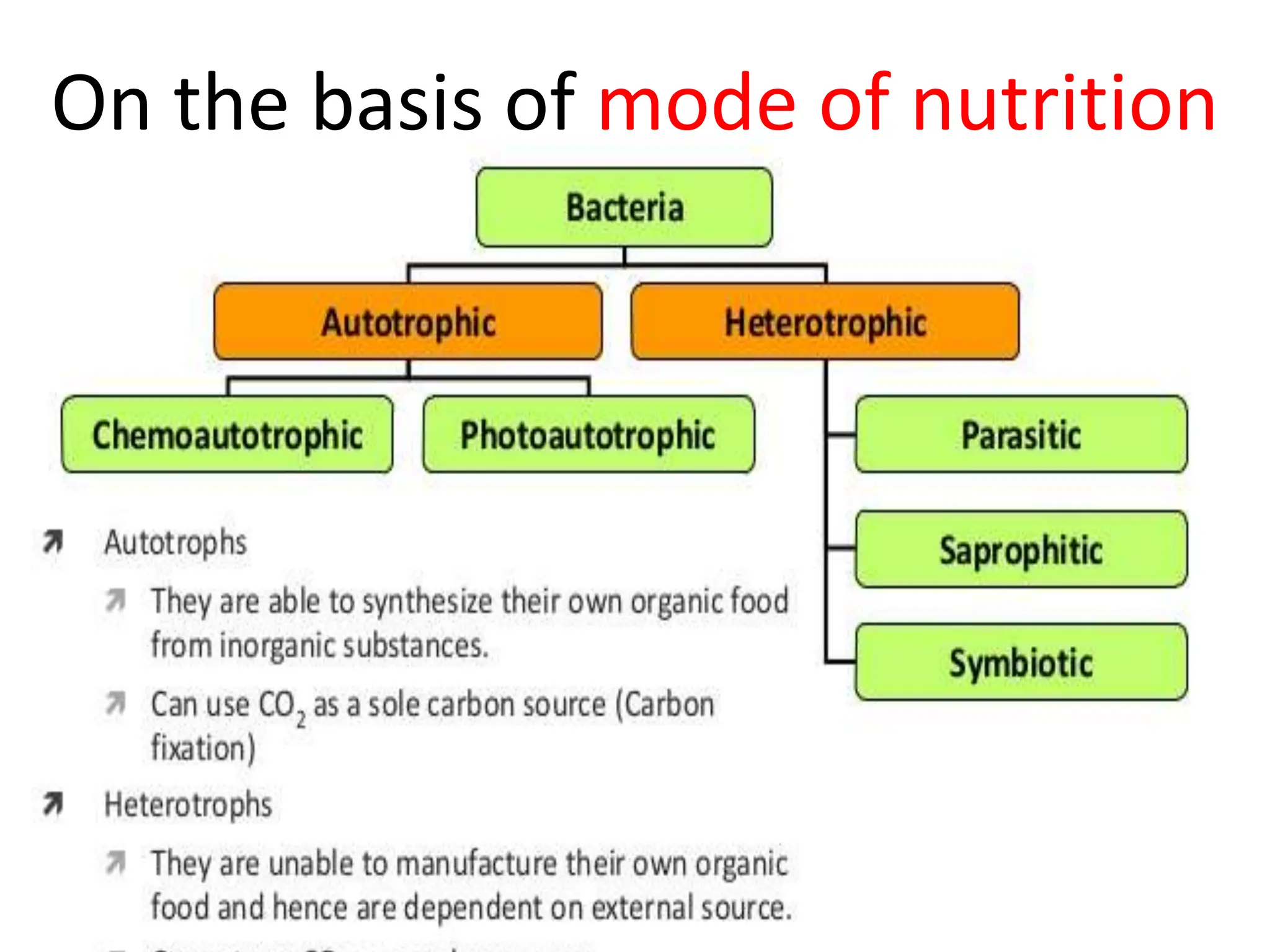 Bacterial classification.pptx | Chemistry | Science