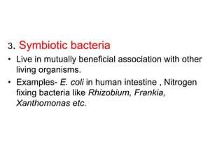 Bacterial classification.pptx | Chemistry | Science