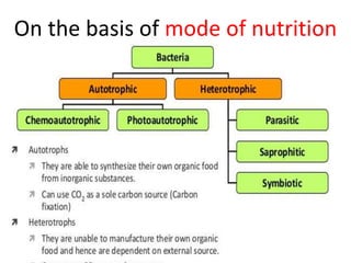 Bacterial classification.pptx