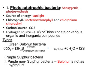 Bacterial classification.pptx | Chemistry | Science