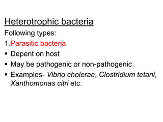 Bacterial classification.pptx | Chemistry | Science