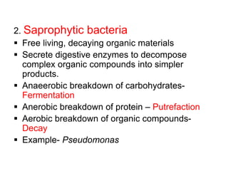 Bacterial classification.pptx | Chemistry | Science
