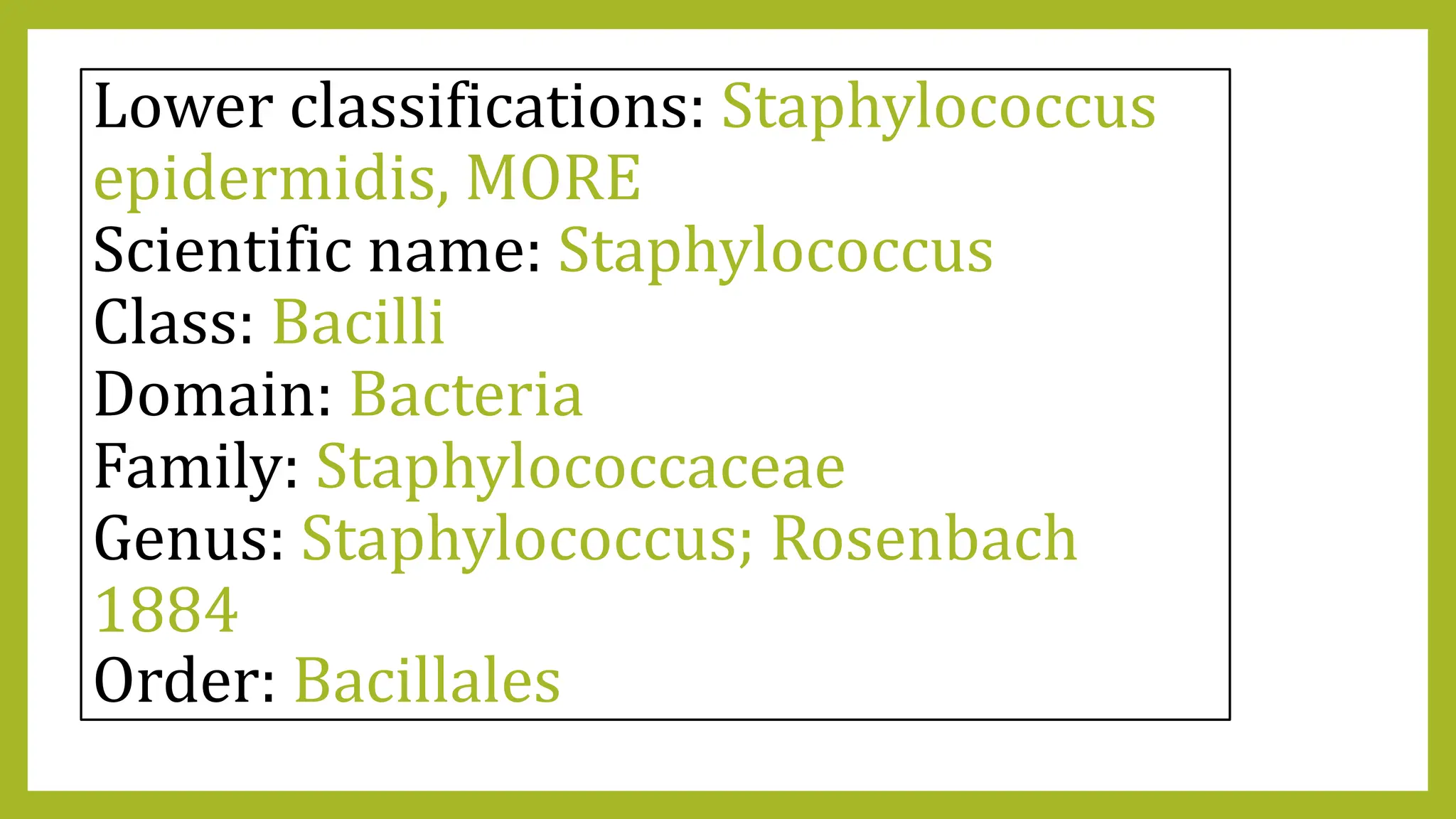 Bacteria l classification(sperical).pptx