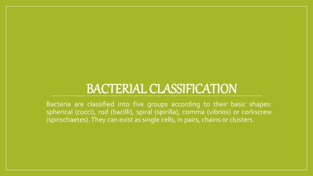 Bacteria l classification(sperical).pptx