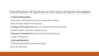 Bacterial Classification.pptx........... | PPT