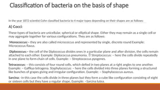 Bacterial Classification.pptx........... | PPTX