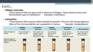 bacterial classification on the base of different mood | PPT