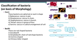 bacterial classification on the base of different mood | PPT