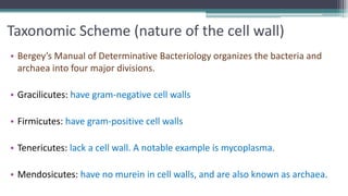 bacterial classification on the base of different mood | PPT