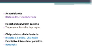 bacterial classification on the base of different mood | PPT