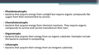 bacterial classification on the base of different mood | PPT
