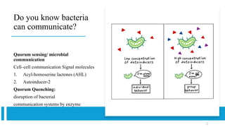 The Secret Life of Bacteria: Communication Pathways in Methane ...