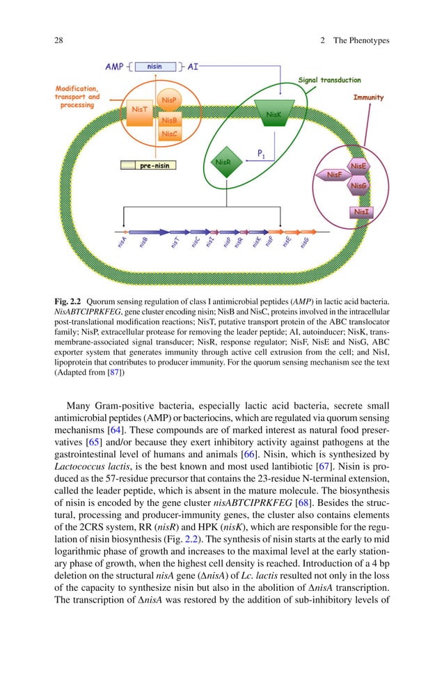 Bacterial communication in foods | PDF
