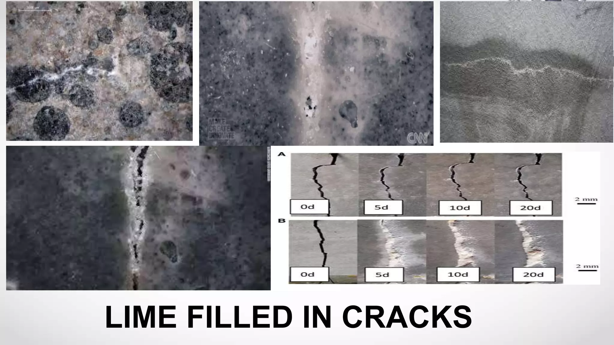 Self Healing Bacterial concrete | PPTX