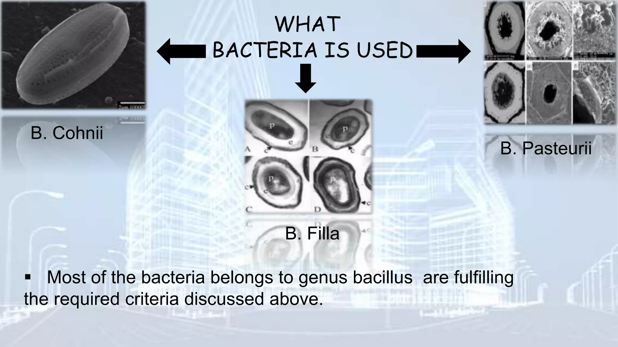 Self Healing Bacterial concrete | PPTX