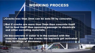 Self Healing Bacterial concrete | PPTX