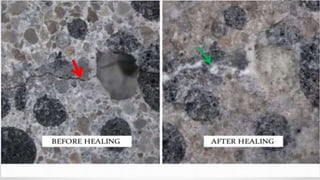 Self Healing Bacterial concrete | PPTX