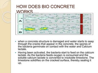 Bacterialconcrete aselfrepairingbiomaterial 150315013521 conversion ...