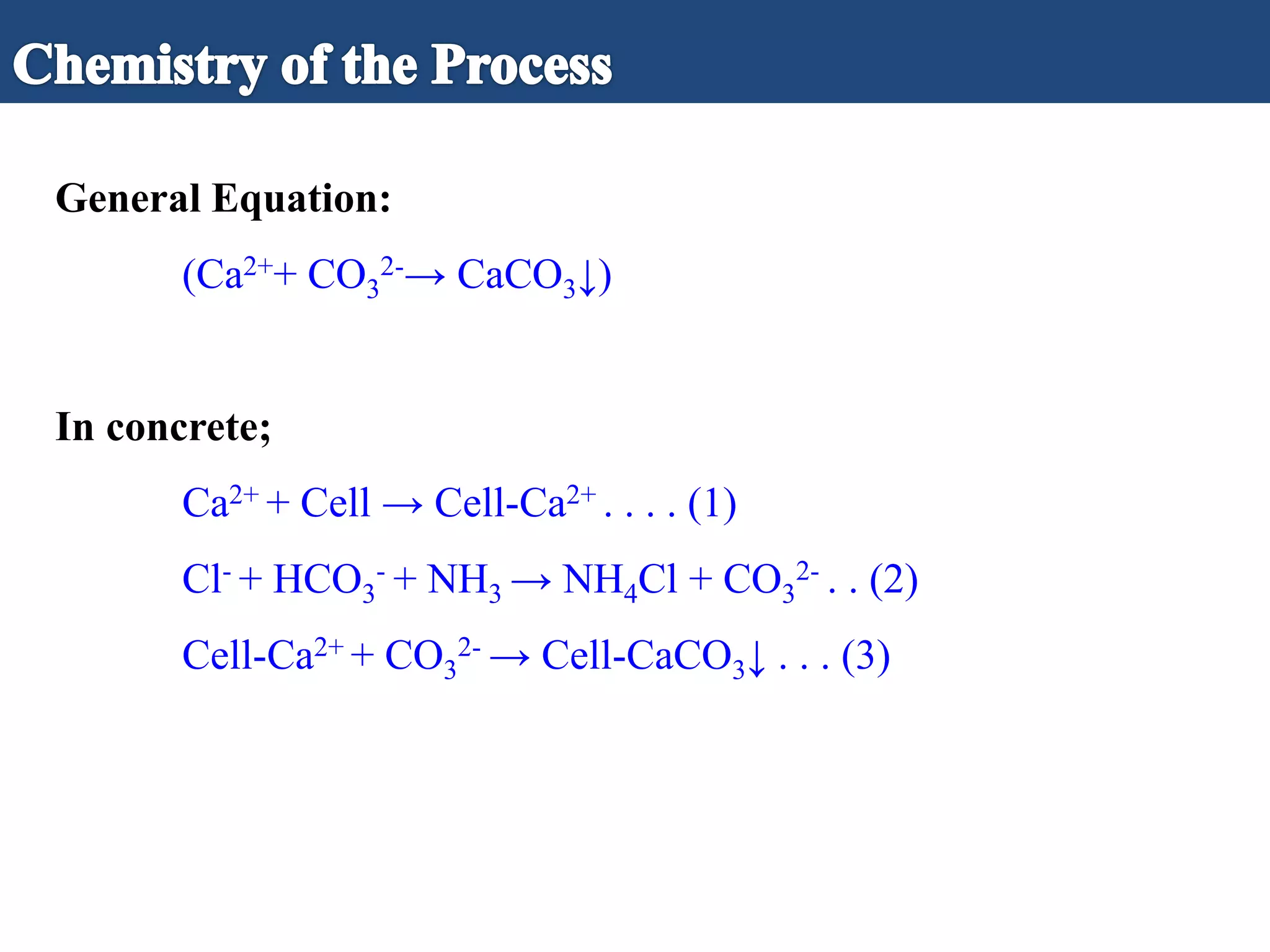 BACTERIAL CONCRETE ppt.pptx