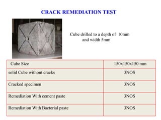 BACTERIAL CONCRETE ppt.pptx