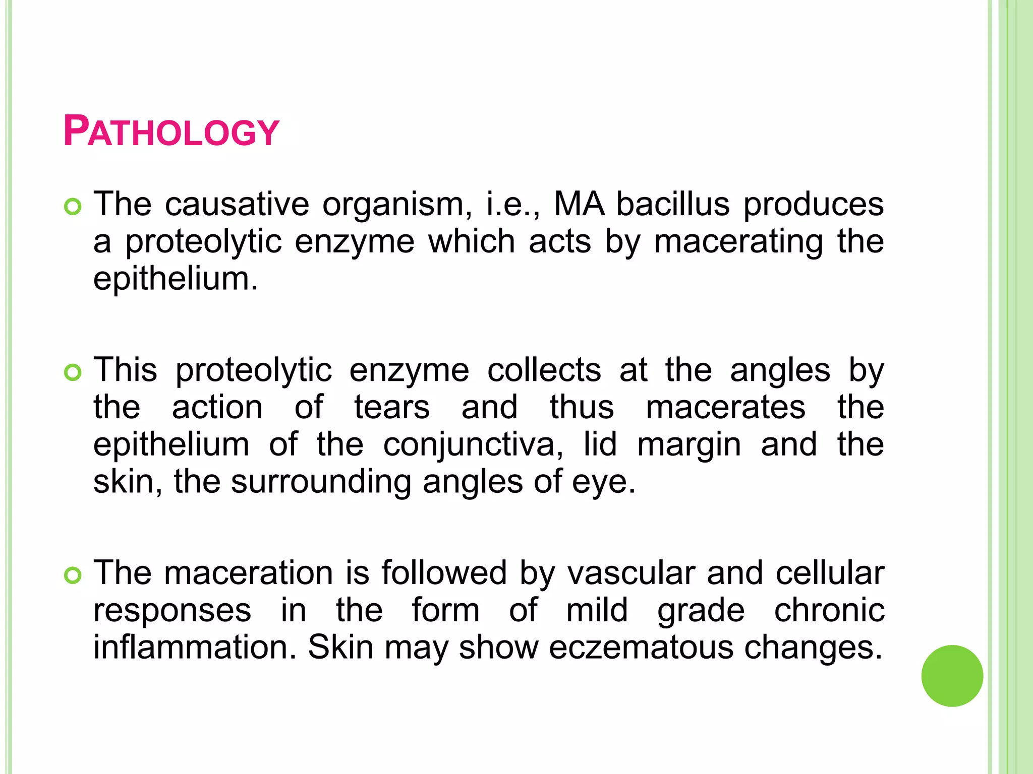 Bacterial conjunctivitis Pharmacotherapy | PPTX