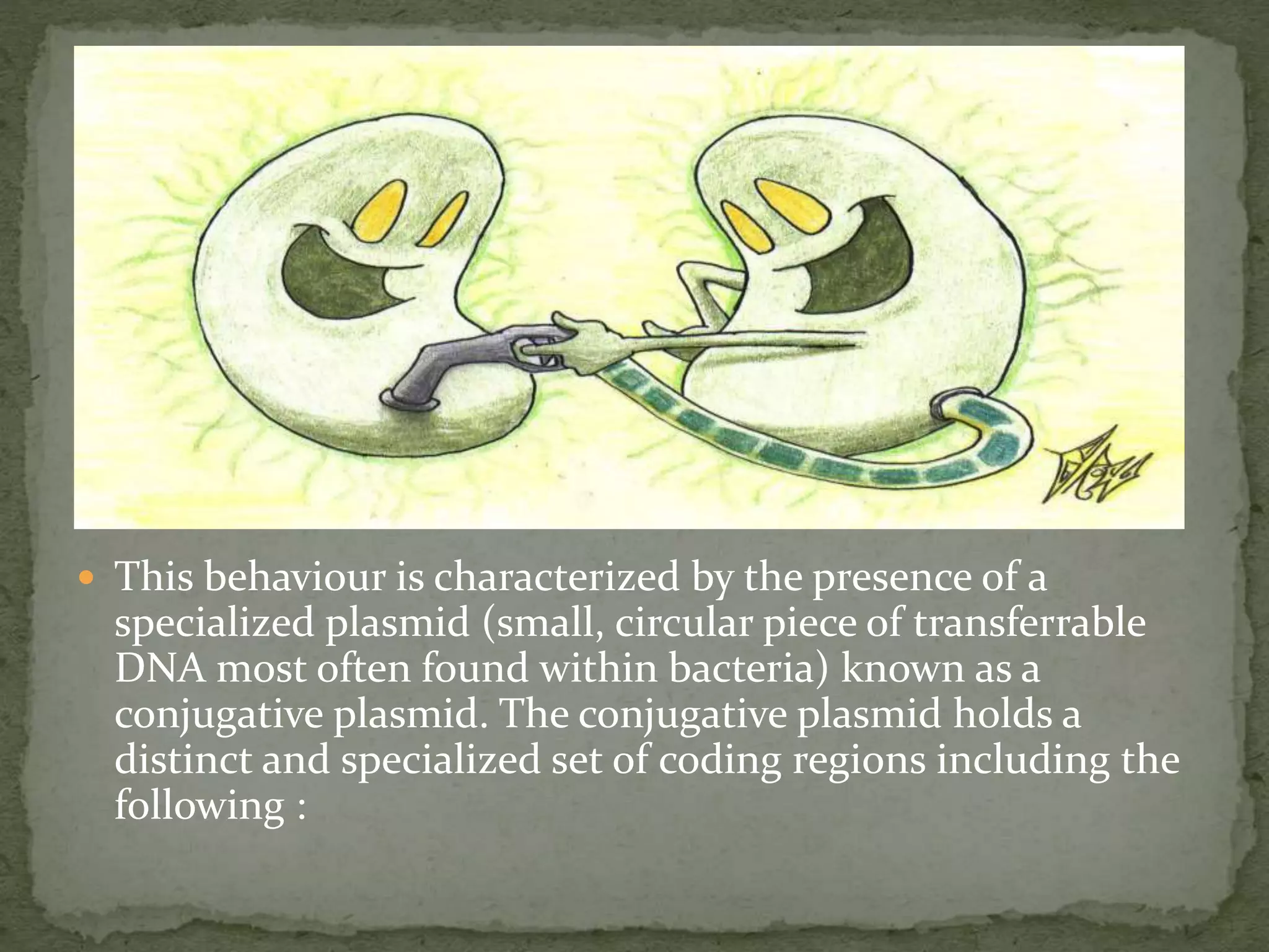 Bacterial conjugation | PPT