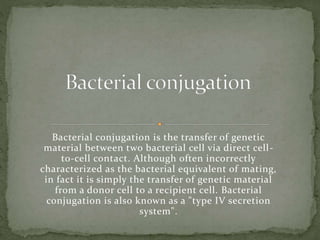 Bacterial conjugation | PPT