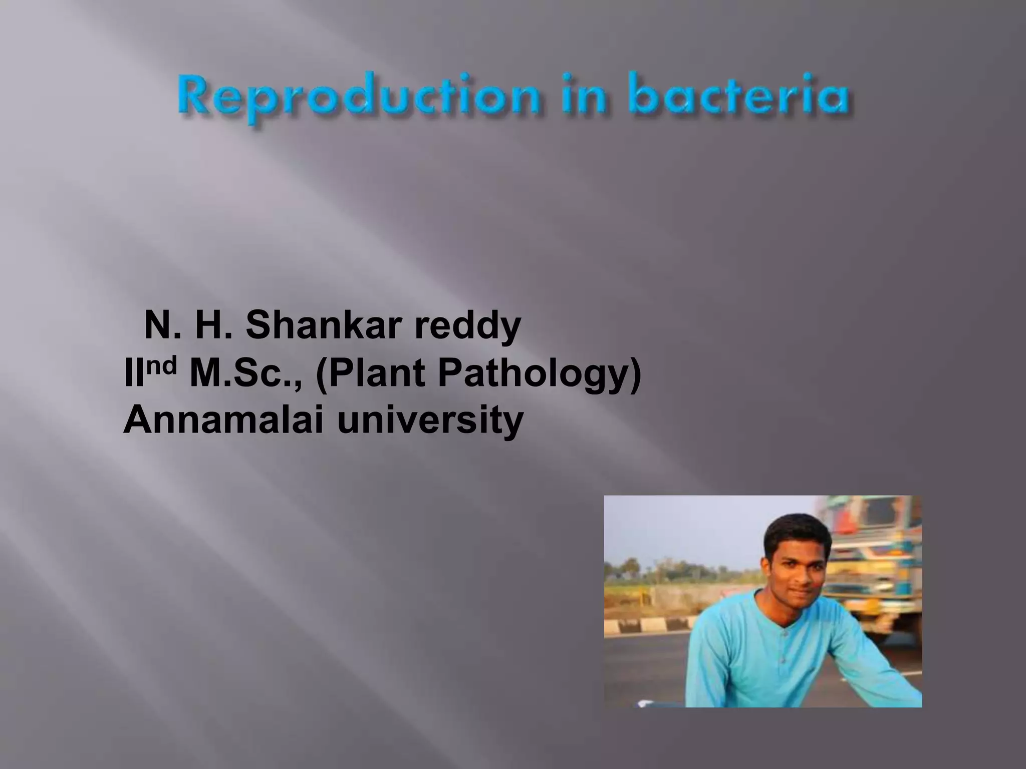 Reproduction in bacteria | PPT