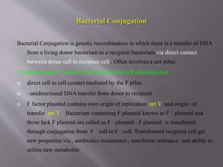 Reproduction in bacteria | PPT