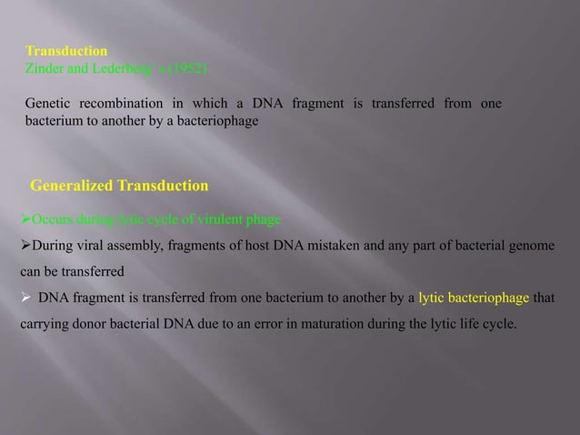 Reproduction in bacteria | PPT
